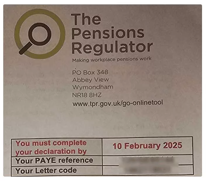 Pension Auto-Enrolment Explained Freelancers Single-Director — No ...